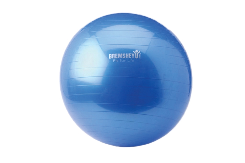Gymbal (75 cm) | Medicijnballen en gymballs | Fitnessartikelen ...